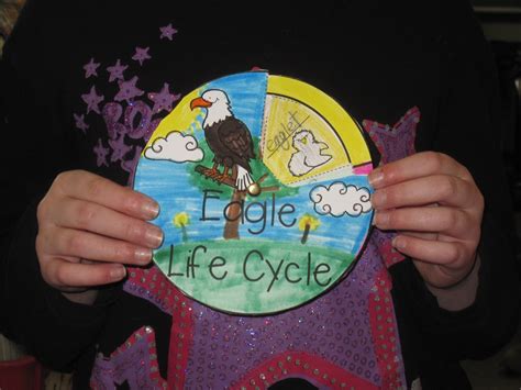 Hopping From K To 2 Crazy Cute Eaglets