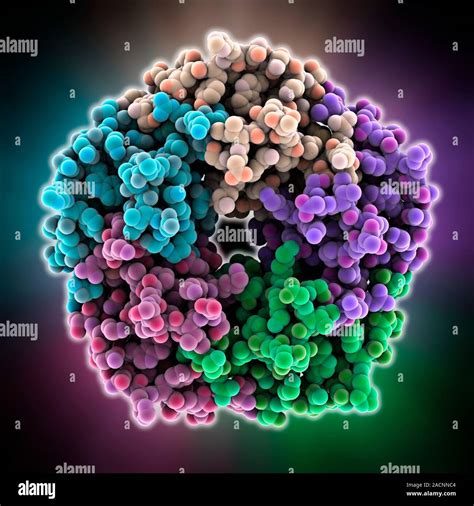 Cholera Toxin Molecule Computer Model Showing The Secondary Structure