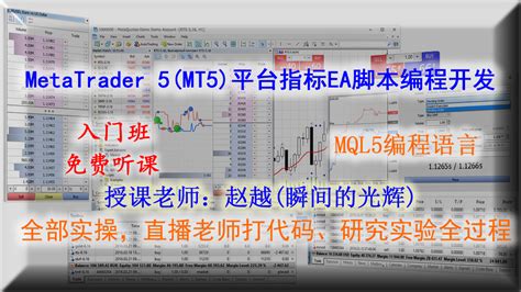MT 指标EA开发MQL 语言 入门班 学习视频教程 腾讯课堂