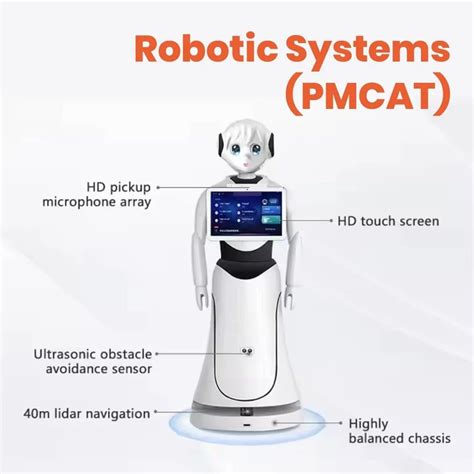 Automation System Humanoid Robot For Pick At ₹ 600000 In Jaipur Id