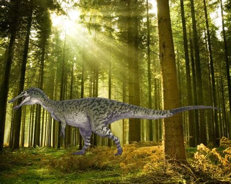 Baryonyx A Therapod With Robust Forelimbs Dino Digest