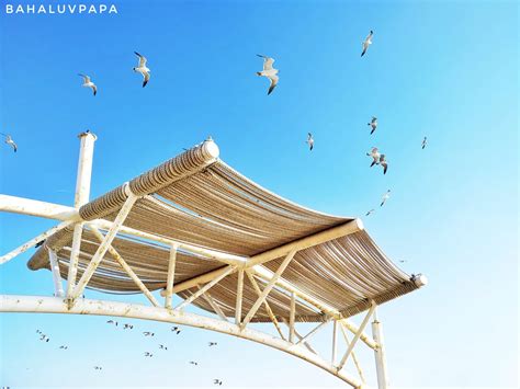 그런 날에는 햇살이 아프도록 따가운 날에는 비가 끝도 없이 쏟아지는 날에는 휘날리는 깃발처럼 기쁜 날에는 떠나가는 기차처럼 서글픈 날에는 난 거기엘 가지 파란