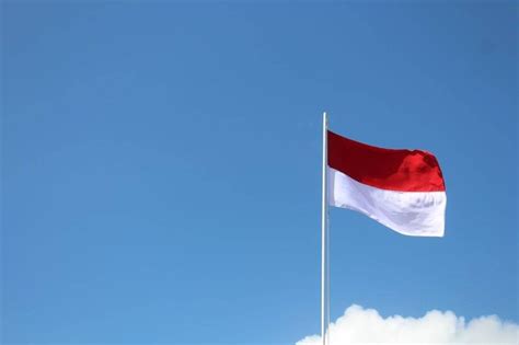 Sejarah Kelahiran Jong Java Sebagai Organisasi Pemuda Indonesia