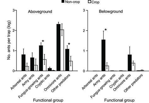 Functional Composition Of The Above And Belowground Ant Assemblages In Download Scientific
