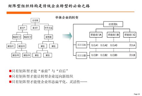 杨少杰：矩阵型组织结构设计 搜狐大视野 搜狐新闻