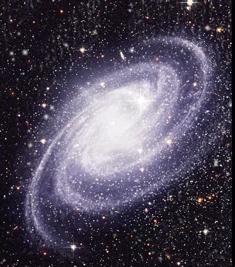 Discover 170 The Fibonacci Sequence The Fingerprint Of God And Discover 170 The Fibonacci Sequence The Fingerprint Of God And