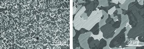 Sem Micrographs After The Pd Scan In Acidic Brine Solution Showing Download Scientific Diagram