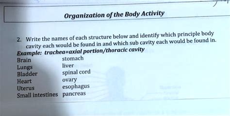 Solved Text Organization Of The Body Activity