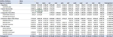 Mise En Forme D Un TCD