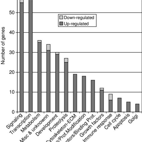 Expression Microarray Analysis Results For Gene Transcripts That Show A