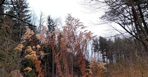 Life Is Good The Plot Of Land