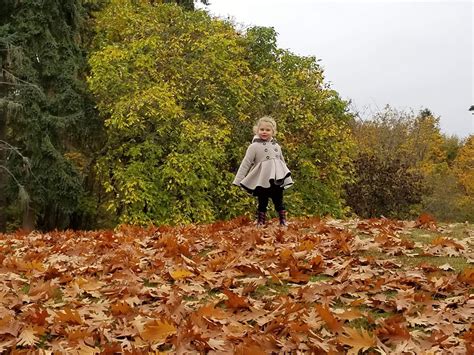 Unforeseen Complications What Is Post Pump Chorea Confessions Of A