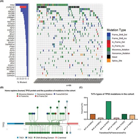 Heatmap Of The Mutations And Tp53 Mutation Hotspots In 96 Patients A