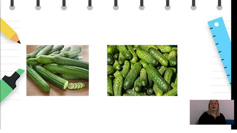 4 до 6 години Уметност ликовно и музичко воспитание Боите на овошјето и зленчукот Youtube