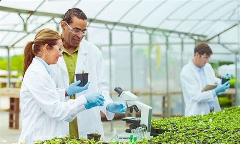 A Science Based Approach Optus