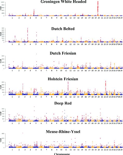 Genome Wide Selective Sweep Scans Using Sweed In Each Breed Manhattan