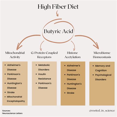 What Is Butyric Acid And Why Do I Need It