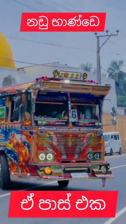 ගිනි කුරුල්ලා ️ ෆයර් ගර්ල් 🥰 Youtube