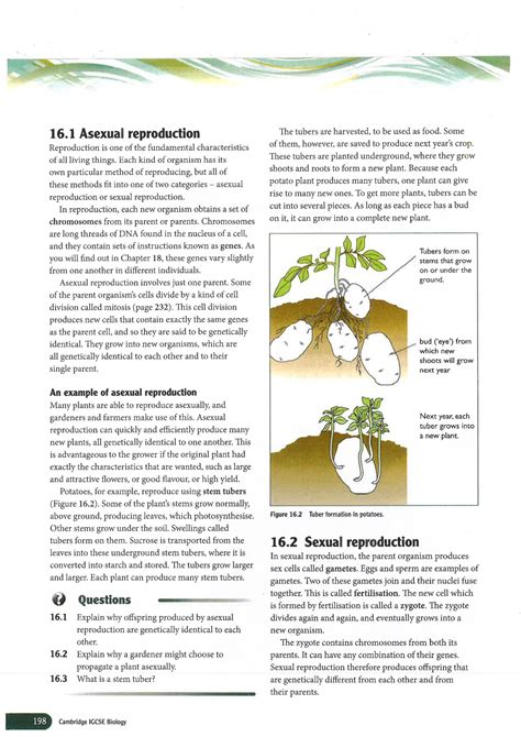 Biology Coursebook Montserrat26batista Page 202 Flip Pdf Online Pubhtml5