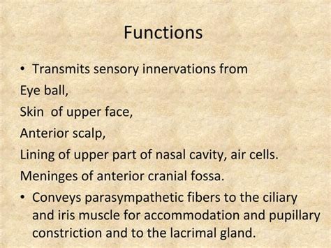 Ophthalmic Nerve Dental Surgery Ppt