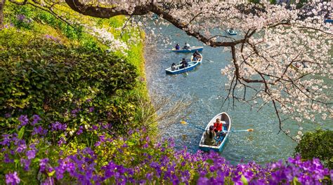 2023 Chiyoda Travel Guide Expedia Malaysia