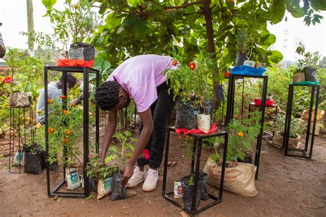 Liz Kobusinge Recipes To Cleanse The Body And Calm The Mind Or How To Live When Youre Dying