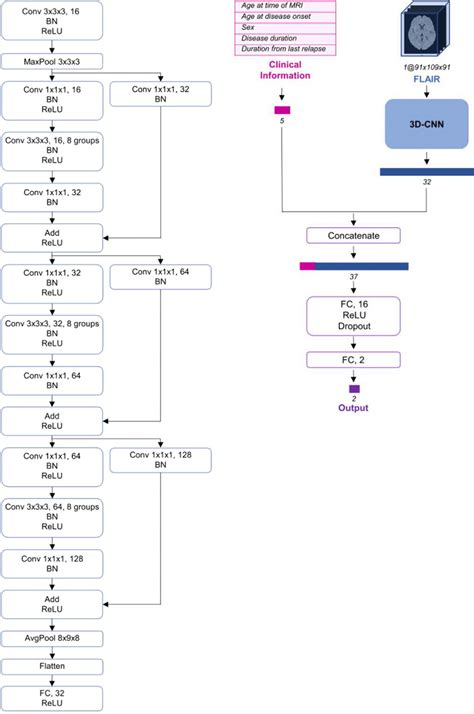 Cnn Architecture Of Kim Et Al [10] That Is Based On Resnext
