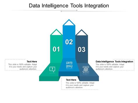 Data Intelligence Tools Integration Ppt Powerpoint Presentation File