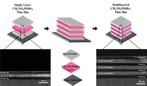 schematic illustration of synthesized single layer and multilayered
