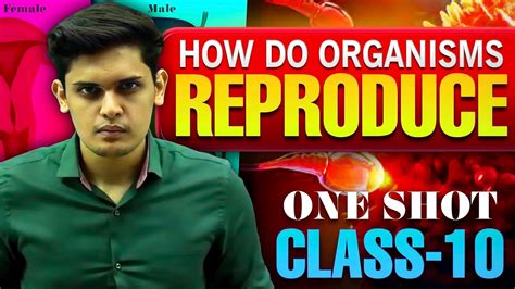 How Do Organisms Reproduce Complete Chapter Class 10th Science NCERT