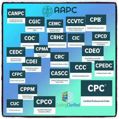 will multiple credentials get a new coder hired coding clarified