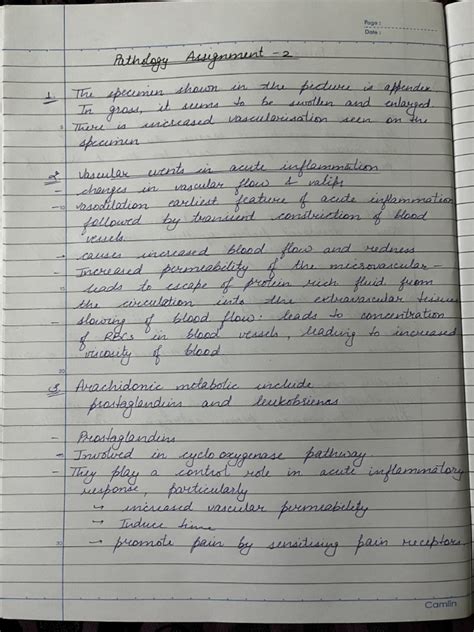 Path Assignment 2 Pdf