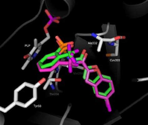 Conformational Comparison Of Compound 1 From The Crystal Structure Download Scientific Diagram
