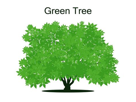 Black Branch Tree Or Naked Trees Silhouettes Set Hand Drawn Isolated Illustrations 18976643