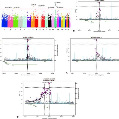 A The P Value Distribution For Single Marker Associations With Moca Download Scientific