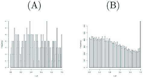 Histogram Of Raw P Values Computed Using The Null Distribution