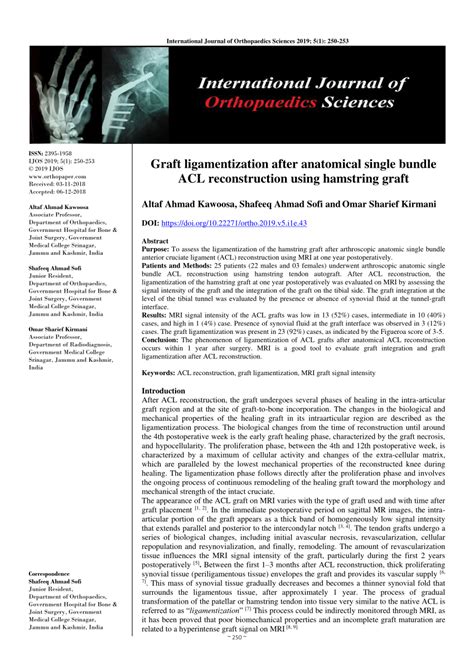 Pdf Graft Ligamentization After Anatomical Single Bundle Acl