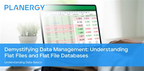 Demystifying Data Management Understanding Flat Files And Flat File Databases PLANERGY Software