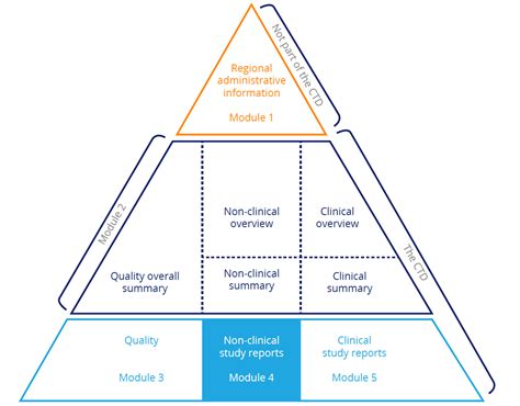 Intro To Integrated Summaries Of Efficacy And Safety Iseiss Alira Health