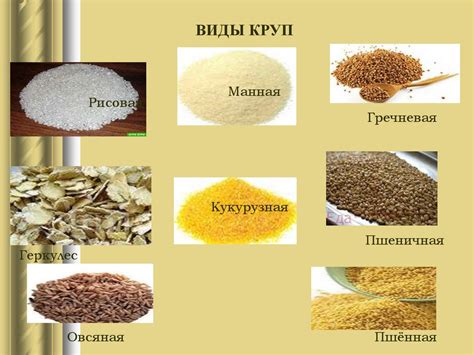 Приготовление блюд и гарниров из круп бобовых и макаронных изделий Раздел 1 презентация онлайн