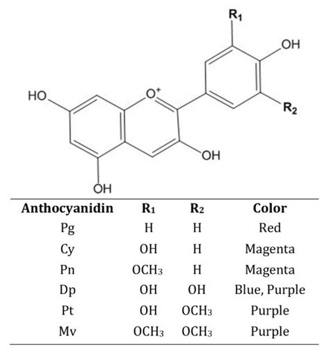 Chemical Structures Of The Most Common Anthocyanidins And Their Color Download Scientific