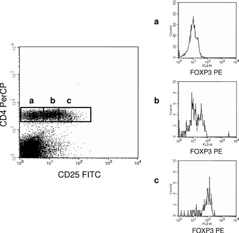 Representative Example Of Foxp3 Staining By Flow Cytometry According To
