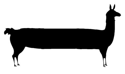 将上下文长度扩展到256k无限上下文版本的LongLLaMA来了 知乎