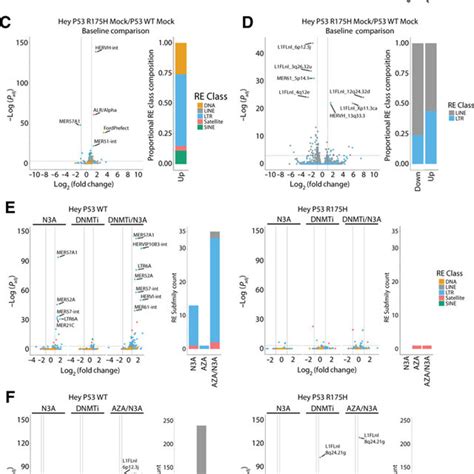 Tp53 Mutation Status And Binding Sites Affect Re Expression In Ovarian