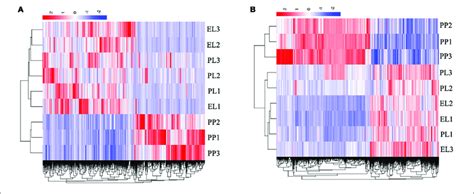 Heatmap Of Differentially Expressed De Lncrnas A And De Mrnas B Download Scientific