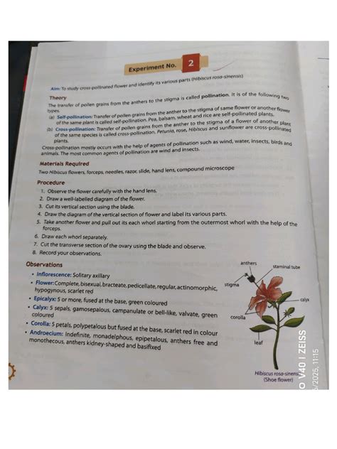 Class 9 Bio Experiment 2 Pdf