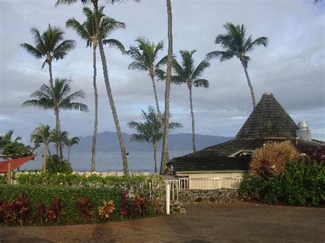The Gazebo At Napili Shores Lahaina Restaurants Gazebo Lahaina Maui