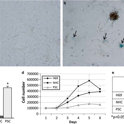 Isolated Primary Sclerosing Cholangitis Psc Cholangiocytes