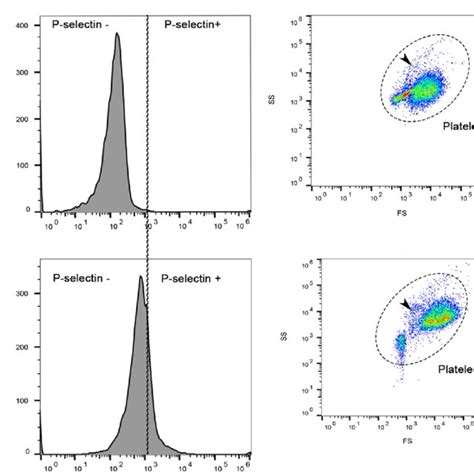 Variability Of P Selectin Expression On Unstimulatedresting Platelets