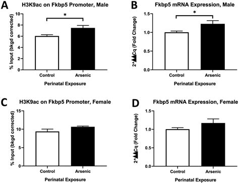 Developmental Arsenic Exposure Is Associated With Sex Differences In